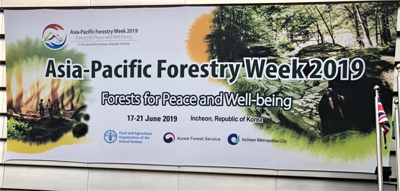 FSC in the Asia Pacific Forestry Week 2019 – highlights | Forest ...