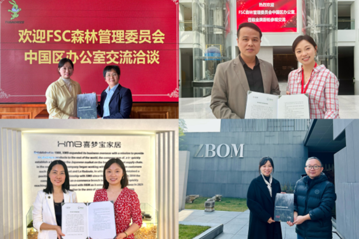 FSC China Launches Green Furniture for Sustainable Forests Initiative ...