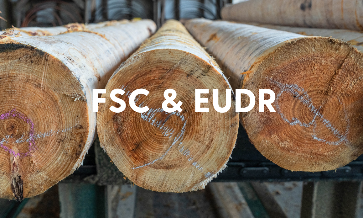 Open now: Public consultation to strengthen FSC standards and continue ...