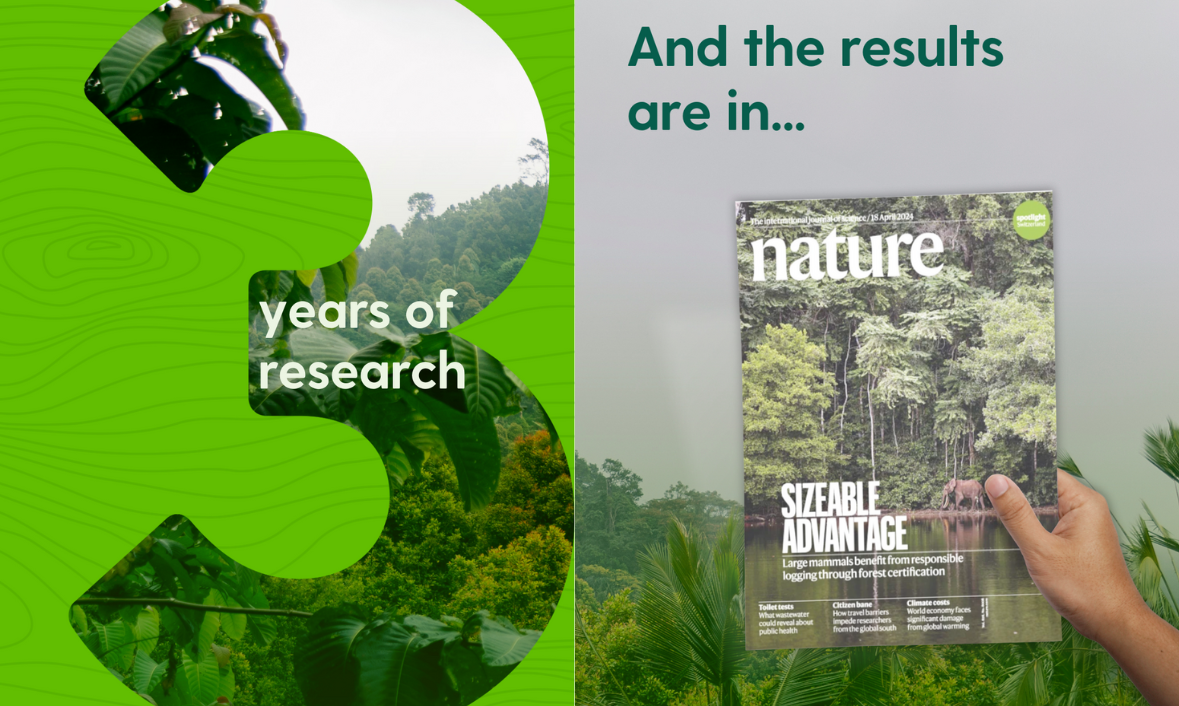 Groundbreaking study confirms FSC standards are vital for thriving ...