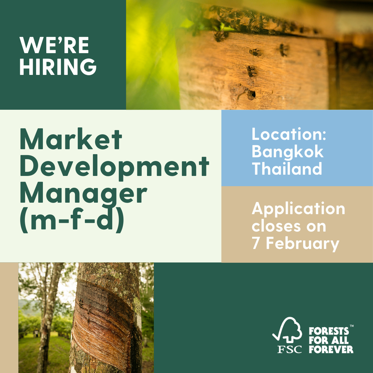 We're Hiring for a Market Development Manager in Thailand | Forest ...