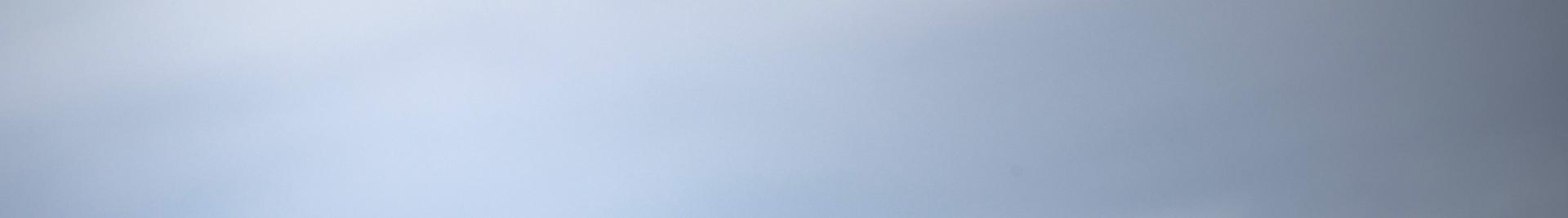 What's next for FSC Australia & New Zealand | Forest Stewardship Council