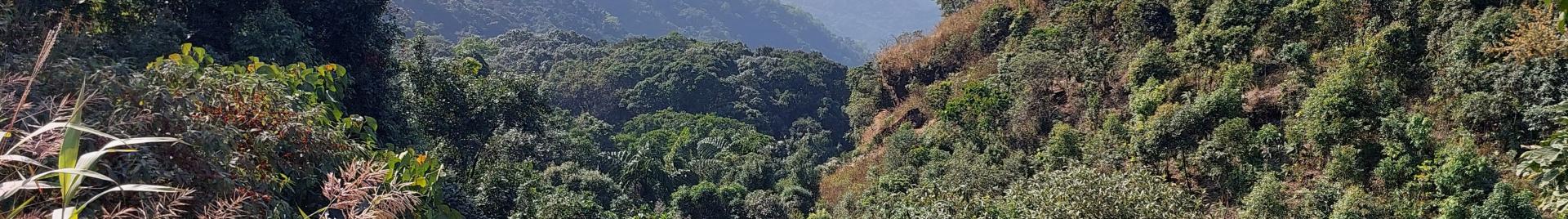 Dr. Michelle Wong Appointed as Deputy Regional Director, APAC, at FSC ...